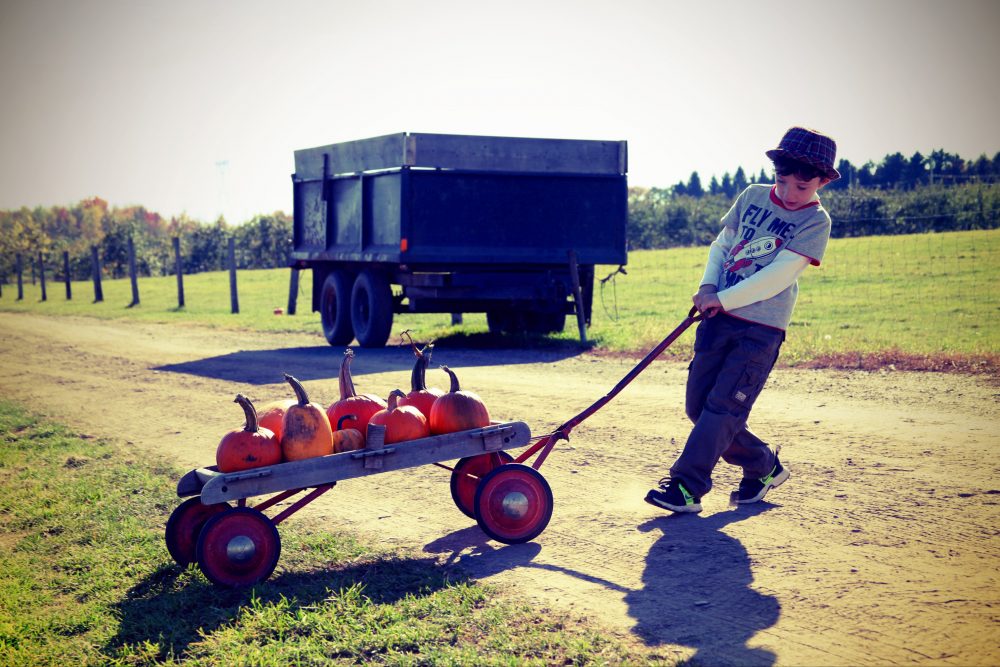 Hotel Château-Bromont vacation Packages | 1 888 276-6668